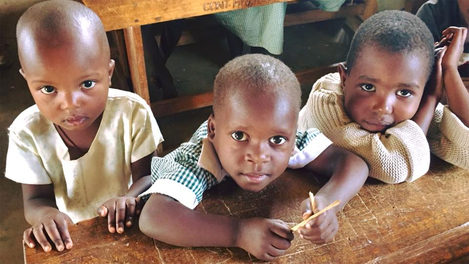 Thank you - Humanitarian Projects Inc